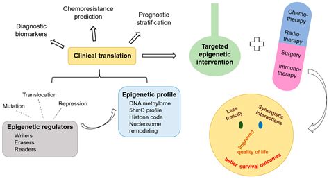 Biomolecules Free Full Text Targeted Epigenetic Interventions In
