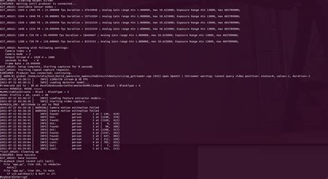 skipping id · issue 235 · geekalexis fastmot · github
