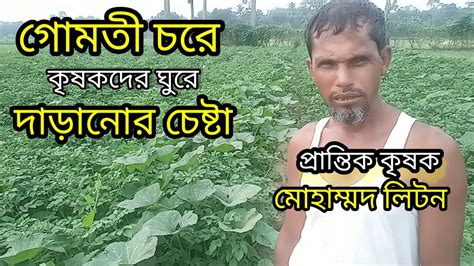 কিভাবে আগাম আলু চাষে কৃষকেরা লাভবান হবে সমন্বিত সবজি চাষ Gap