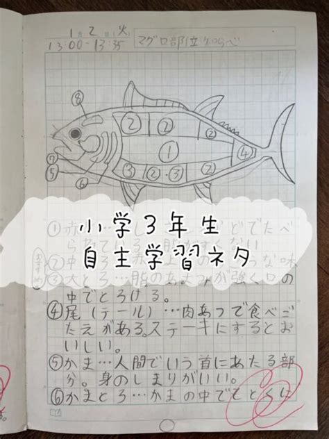 大人も思わず感心。小学3年生【自主学習自学】ネタが面白い！！ Andあんふぁん