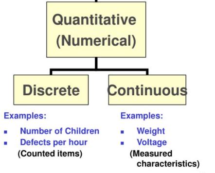 Year Statistics A Flashcards Quizlet