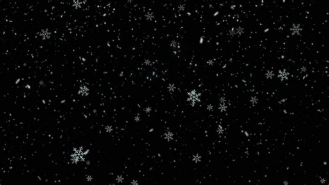 Snow Flakes Overlay Black Background Winter Slowly Falling Snow