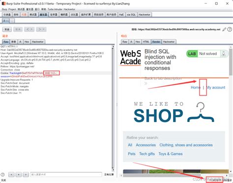 【burpsuite安全练兵场 服务端1】sql注入 17个实验（全） sql注入实验 csdn博客