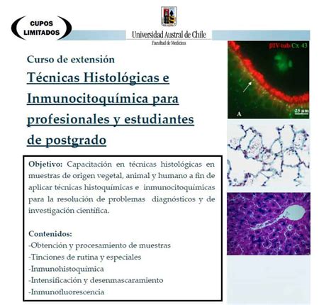 Curso Técnicas Histológicas E Inmunocitoquímica Para Profesionales Y