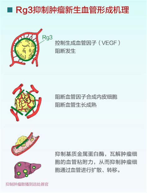 解析人参皂苷rg3的作用机理 人参皂苷rg3研究中心