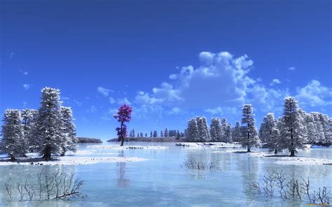 Обои 3Д Графика Природа Nature обои для рабочего стола фотографии