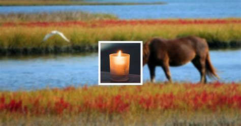 Obituary Vincent J Galasso Of Brick New Jersey Colonial Funeral Group