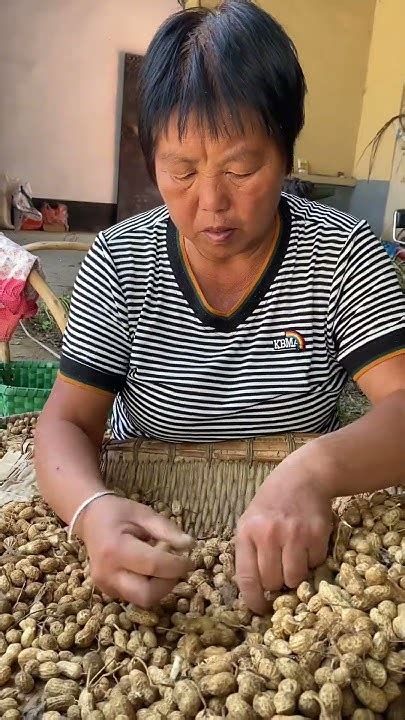 一分耕耘 一分收获，辛苦付出终于有了收获鲜核桃 自家种植 绿色农产品 水煮花生 Youtube