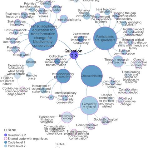 Visualization Of The Coding Structure For Sq1 By The Participants With