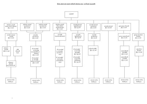 Organization Structure