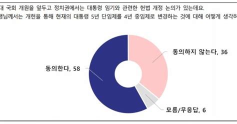 대통령 4년 중임제 개헌찬성 58 반대 36 Nbs