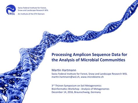 processing amplicon sequence data for the analysis of microbial