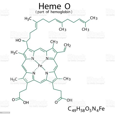 Heme O Rumus Kimia Bagian Dari Hemoglobin Struktur Molekul Senyawa