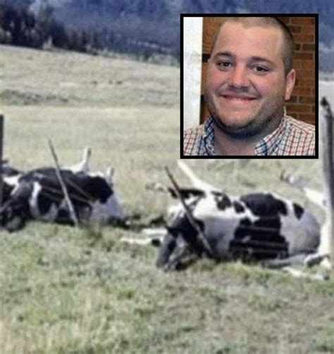 Farmer And 16 Cows Found Dead Cause Of About Everything