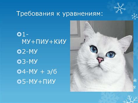 Получение углекислого газа и изучение его свойств Практическая работа