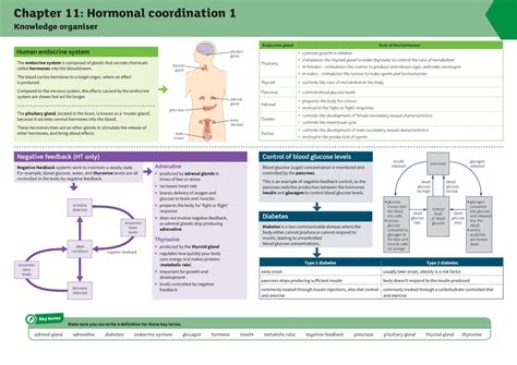 Third Space Learning Transformations Gcse Worksheet Gcse Maths