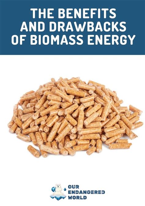 Biomass Energy Advantages Disadvantages And More