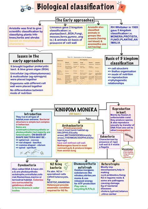 SOLUTION Biological Classification Mind Map Studypool