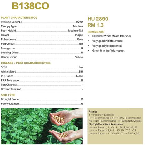Conventional Soybeans Beatty Seeds