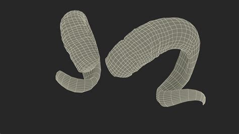 3d Sawed Off Horns Of A Ram Turbosquid 2325129