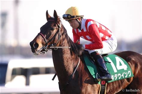 【桜花賞】勝負の栗東滞在！指揮官が語るキタウイングの強み 競馬ニュース 競馬ラボ