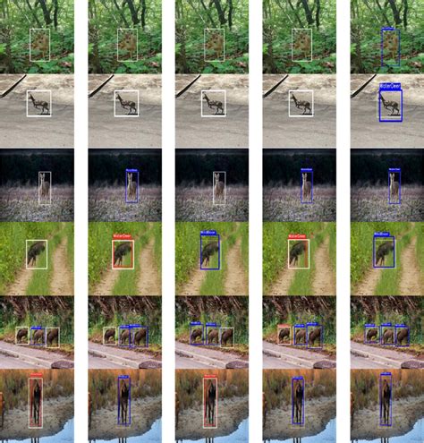 Illustrates The Examples Of The Results Of The Object Detection Model