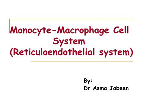 Pdf Monocyte Macrophage Cell System Reticuloendothelial …reticuloendothelial System It Is A