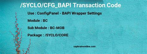 Syclocfgbapi Sap Tcode For Configpanel Bapi Wrapper Settings
