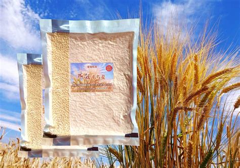 最終 もち麦 キラリモチ 合成農薬・化成肥料不使用 令和5年産900g お得な2袋セット 900g×2袋）美味しくプチモチ腸活！：愛知県産の