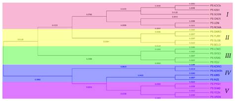 Dendrogram Of Genetic Similarity Of Twenty Two Studied Populations Of