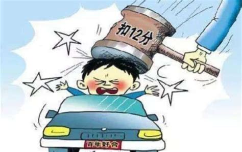 违章消分 随意云
