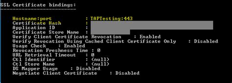 Iis Servernamensanzeige Server Name Indication Sni Ssl