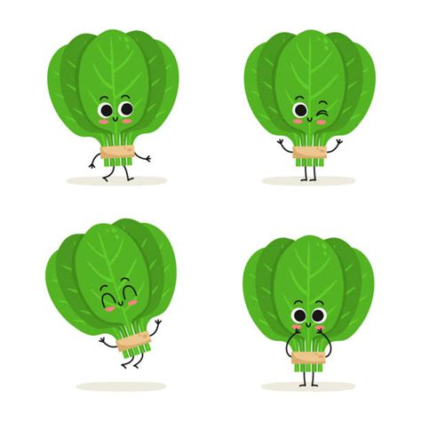 시금치 스톡 사진 및 일러스트 Istock