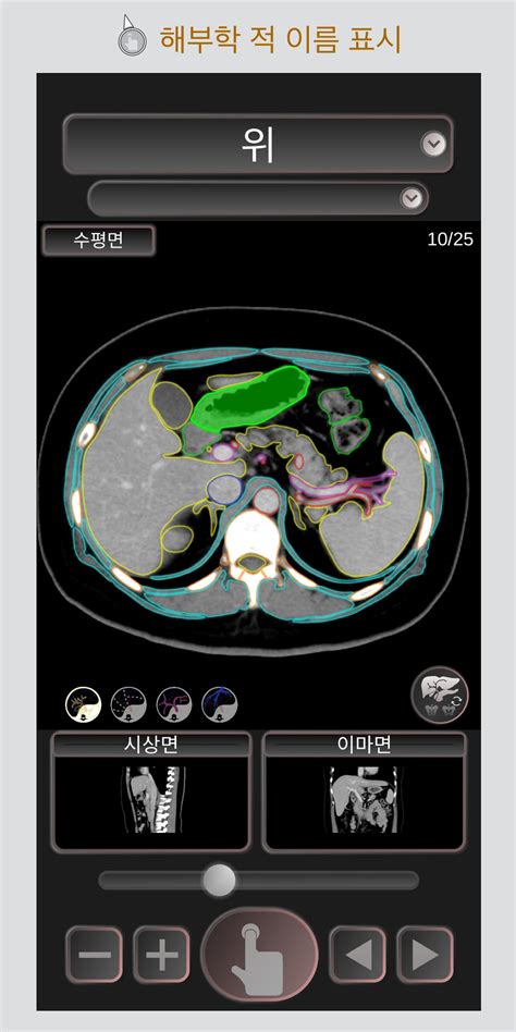 Android용 Ct 여권 복부 단면 해부학 Mri 최신 버전 105