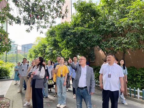 研而有道助前行 互学共享行致远 ——记温州市鹿城区校本研修管理干部能力提升专题培训交流活动