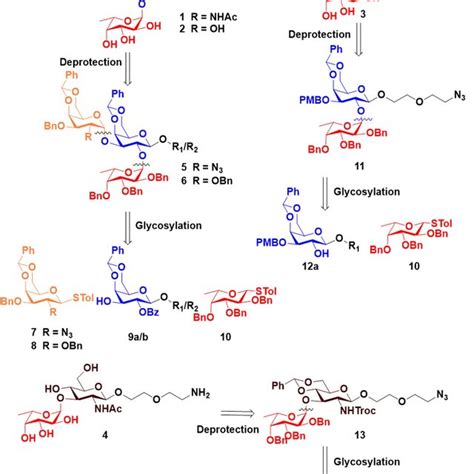 Synthesis Of Building Blocks A Pmbcl Dibutyltinoxide Bu2sno Tbai