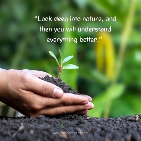 50 Best World Environment Day Quotes And Slogans [5 June]
