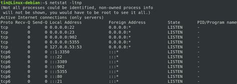 Debian Find Out Which Port Number A Process Is Listening On VITUX
