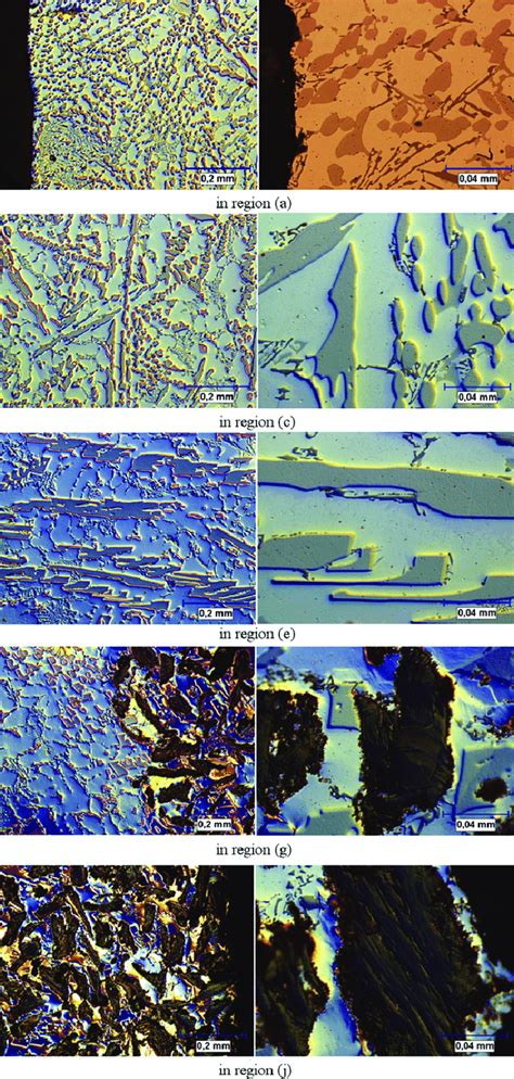 Microstructure Of Mmc A35657 Vol Ni Coated Graphite Particles Download Scientific Diagram