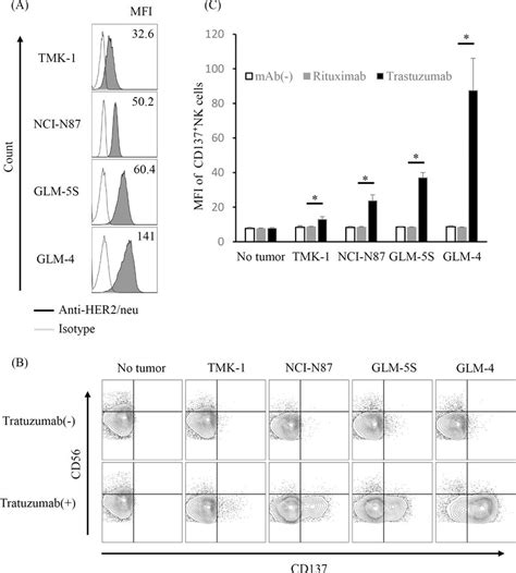 Cd137 Expression On Nk Cells Following Incubation Of Gastric Cancer