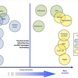 Temperature Sensitivity Of Vaccines 53 60 Download Scientific Diagram