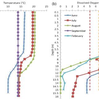 Depth Dependent Water Temperature A And Dissolved Oxygen B Profiles