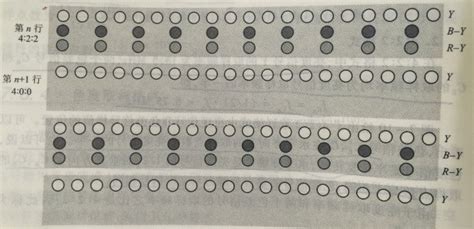 音视频编码基础 Csdn博客