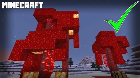 How To Grow Huge Crimson Fungus In Minecraft 1163 Youtube