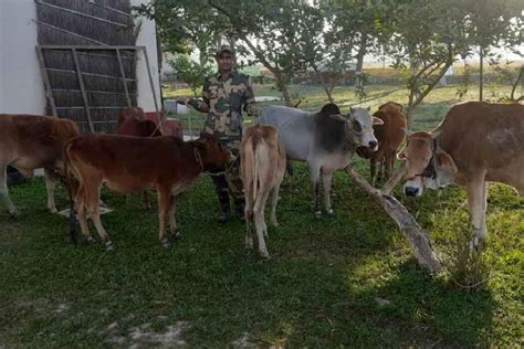 Smuggler Border Security Force Deploys Drones To Track Down Smugglers