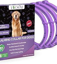 Amazon Com VICSOM Cat Calming Diffuser Kit Cat Pheromones Calming Diffuser For Cat 6 In 1