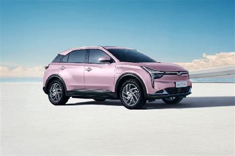 Neta U Electric Price And Review