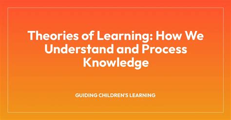 Theories Of Learning How We Understand And Process Knowledge • Teachers Institute