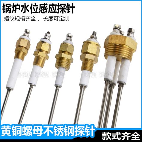 锅炉水位探针测针液位控制传感器探头电极江心盛田蒸汽发生器配件 虎窝淘