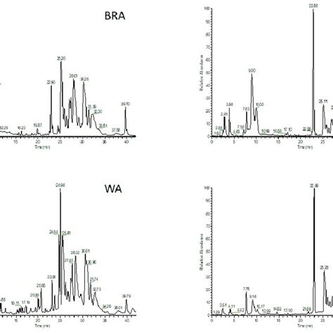 Lc Esi Orbitrap Ms Profiles In Negative Ionization Mode Of Leaf Samples